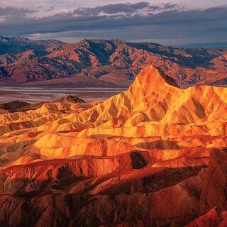 Harp Sparkle: Desert | Holly Honeychurch