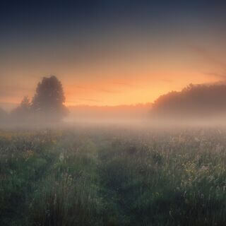 A Somatic Practice To Cultivate Boundaries & Personal Space | Rachel ...