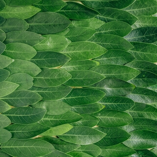 Healing Meditation: Soul Energy Alignment, Power Back | Pura Rasa