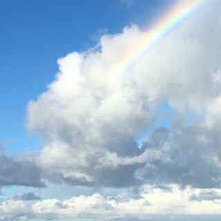 Working With Pain | Marsha Gehl