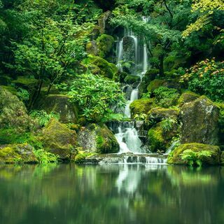 Accepting Without Efforting | Caverly Morgan