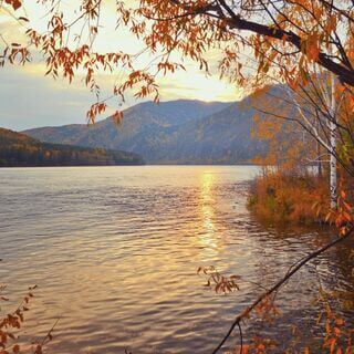 Mild Evening | Alon Marcus