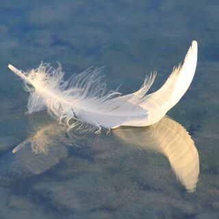Meeting The Unemployed Angels | Jaclyn Albergoni