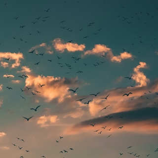 Guided Meditations for Zen - Zazen | Insight Timer