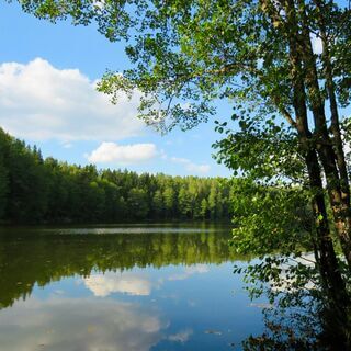Loving Kindness - Goodwill To Yourself And Others | Nick Kientsch