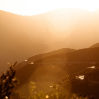 Ancestor Love + Connection Meditation | Tamara McLellan