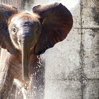 Self Care | Tim Ellerbe