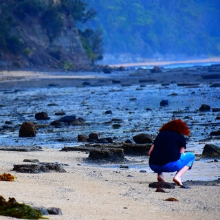 Beach Sunrise | Scientific Eve