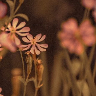 Connect With Your Emotions | Marni Schmid