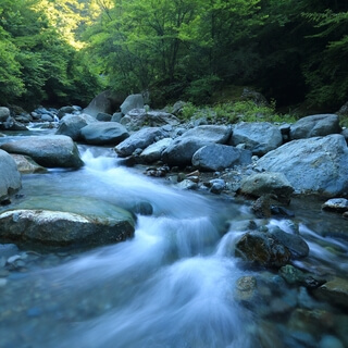 Flow Like Water | Deanna Cordo