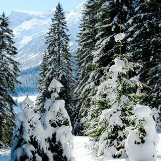 Méditation de fin d’année & solstice d’hiver | Lucile Deau