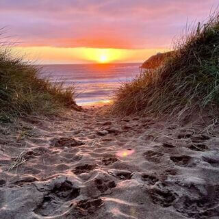 Overwhelm Relief | Sandhya Coyle