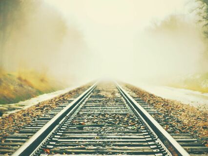 Sleep | Insight Timer