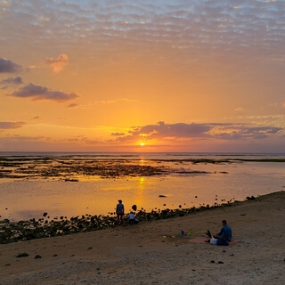 The Raisin Exercise: Mindfulness Based Cognitive Therapy | Marissa Krimsky