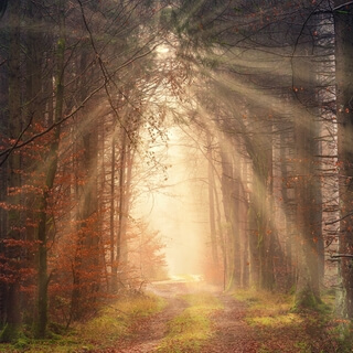 Rays Of Love | Laura Moncrieffe