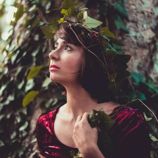 The Four Brothers And The Princess | Mandy Sutter