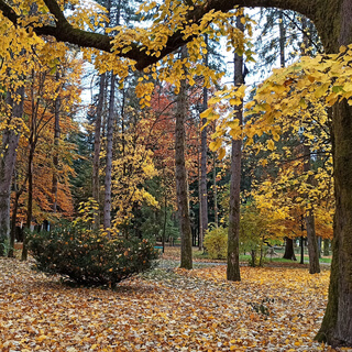 Dance Of Freedom - Releasing Muscle Clamps Practice | Muse Victoria