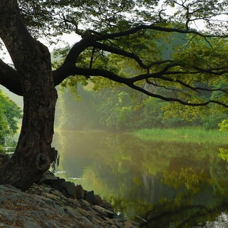 Visualizing Your Dream Life | Nikki Roda