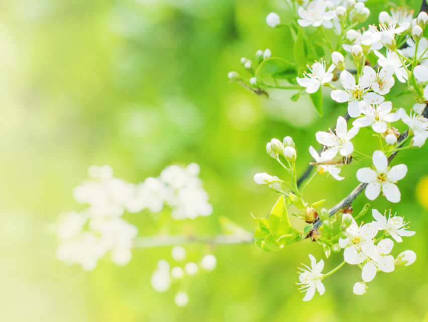 Ashley M. Casillas | Insight Timer