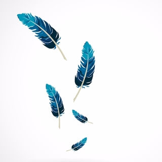 Falling Back To Earth | Marcus C Dolan, Insight Timer