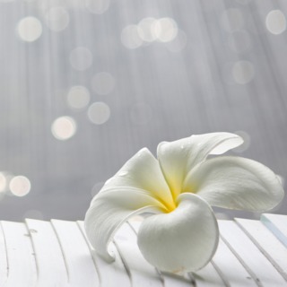 Peace And Love Energy Meditation | Maria Rinné