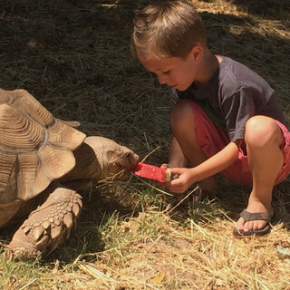 Self Kindness | Marsha J Gehl, Insight Timer