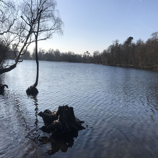 Hush | Marcus C Dolan