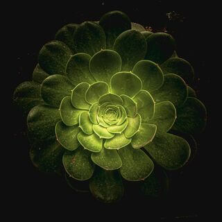 Earth's Embrace | Grounding Sleep Meditation & Music | Cory Cochiolo