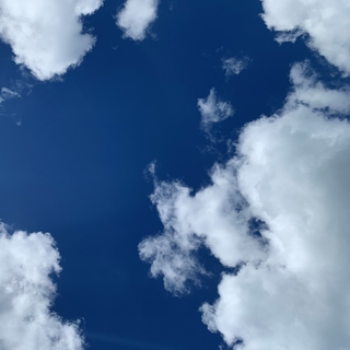 5 Minute Circuit Breaker | Dawson