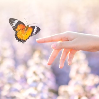 Self Transformation: Aligning With Your Higher Self | Michelle Tao