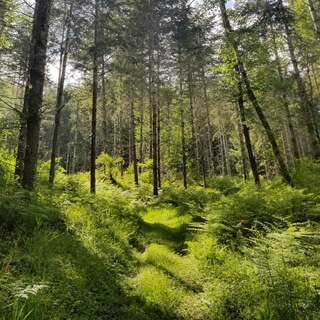 5 Min Fresh Morning | Siena Reynolds