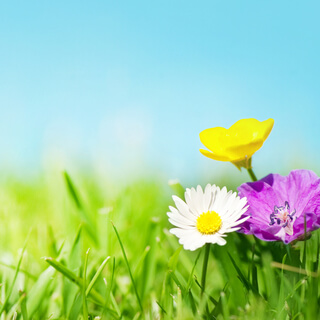 Meditative & Progressive Muscle Relaxation | Alexandra Pils