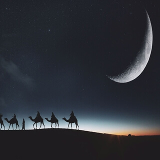 Safe Passage | Marcus C Dolan