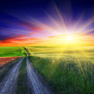 12D Shield (Short Version - Meditation Only, No Instructions) | Melissa ...