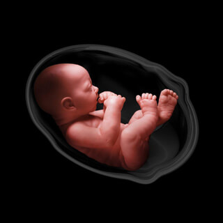 The Cycle Of Life - Birth (Music For Pregnancy) | Narek Mirzaei | Music ...