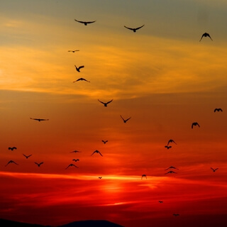 Morning Affirmations - Cappuccino | Catherine Strawbridge