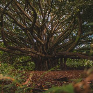 How to Get The Treasure You Seek | Eric John Campbell