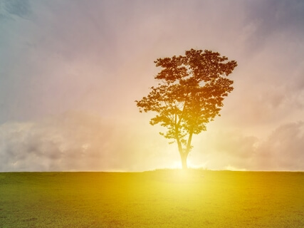 Free Secular Mindfulness Meditations