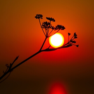 Practicing With Heat By Adam Lobel | One Earth Sangha