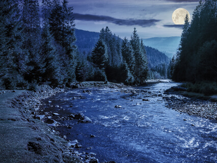 Free Binaural Beats Meditations