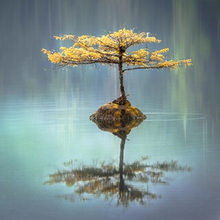 Future Self Visualization | Jason Maraschiello