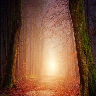 Rest Your Head | Marcus C Dolan