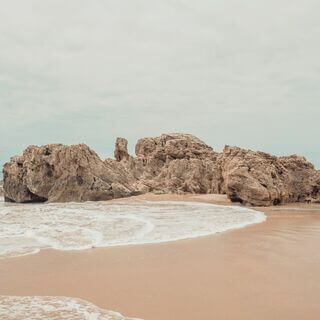 The PERMA-V Blueprint | Insight Timer