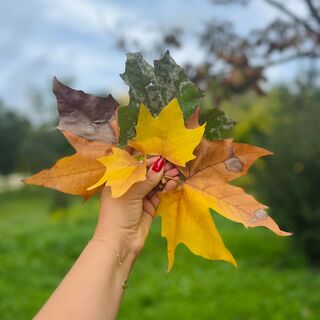 Autumn Balance - Fall Equinox Meditation | Isabella Peñaranda