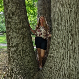 Be Like A Tree | Geri Lee Sayers
