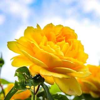 Make Drama Your Friend | InnerSpace Glasgow