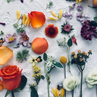 Guided Prayer For Health & Happiness | Pura Rasa