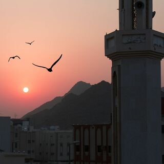 The Seven Voyages Of Sinbad 7 - The Bird-People | Alon Marcus