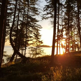 Prepare For Sleep With A Full Body Guided Relaxation | Maeve Jones