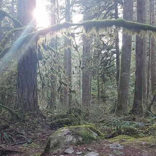 Liminal Spaces | Tass Two Crows Flying